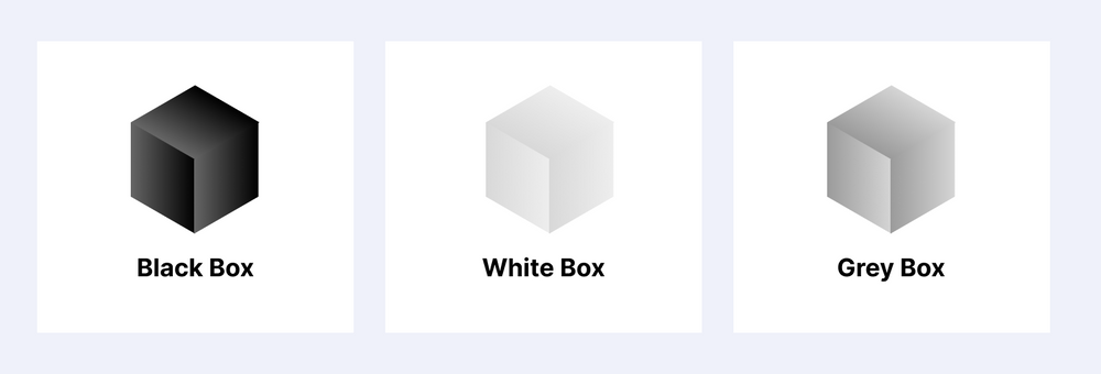 White Box Testing: All You Need To Know
