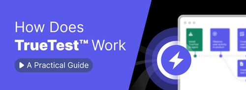 How TrueTest™ Works: A Practical Guide