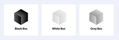 White Box Testing: All You Need To Know