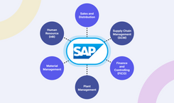 Top SAP Testing Tools for QA Teams in 2025
